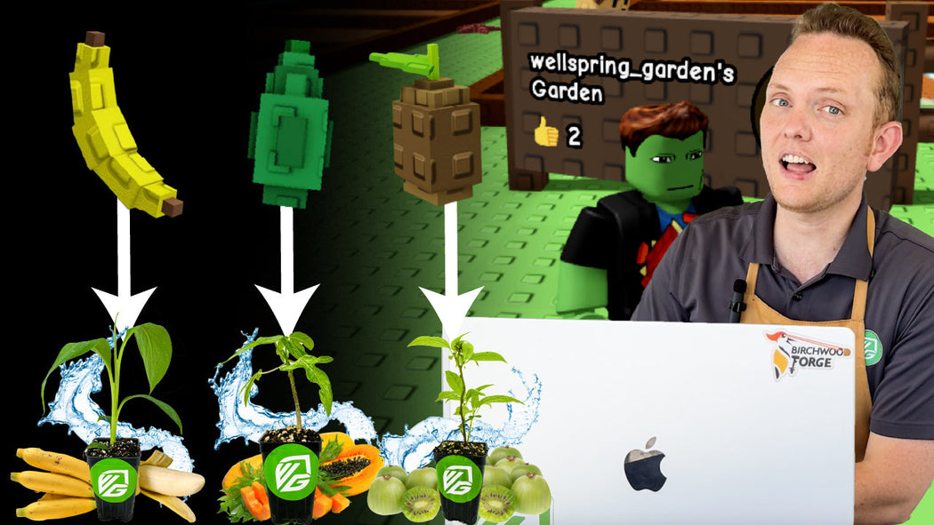 IRL 'Grow a Garden' Plants – Wellspring Gardens