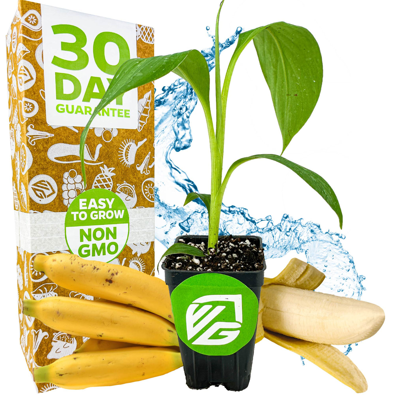 Food-producing plants – Wellspring Gardens