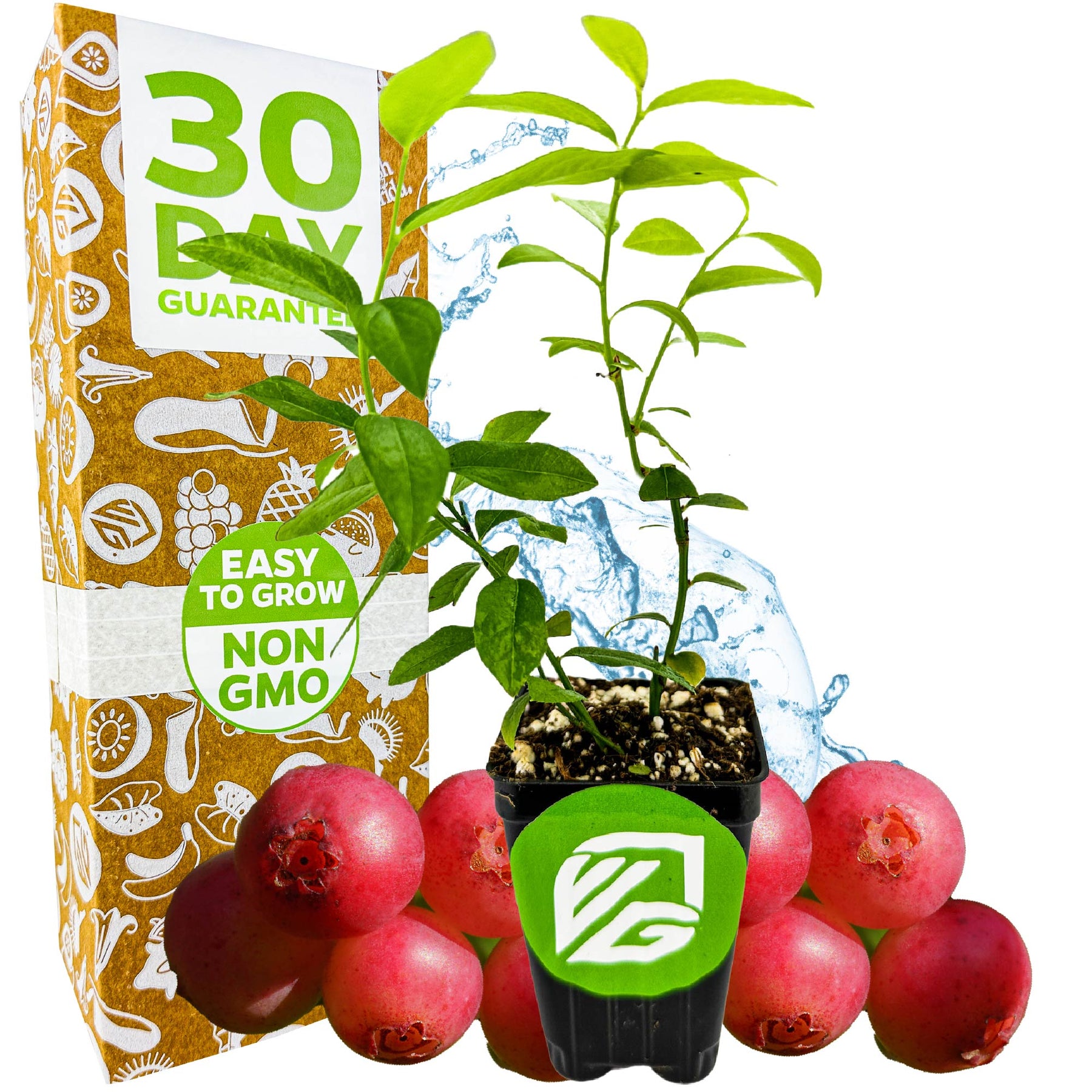 IRL 'Grow a Garden' Plants – Wellspring Gardens