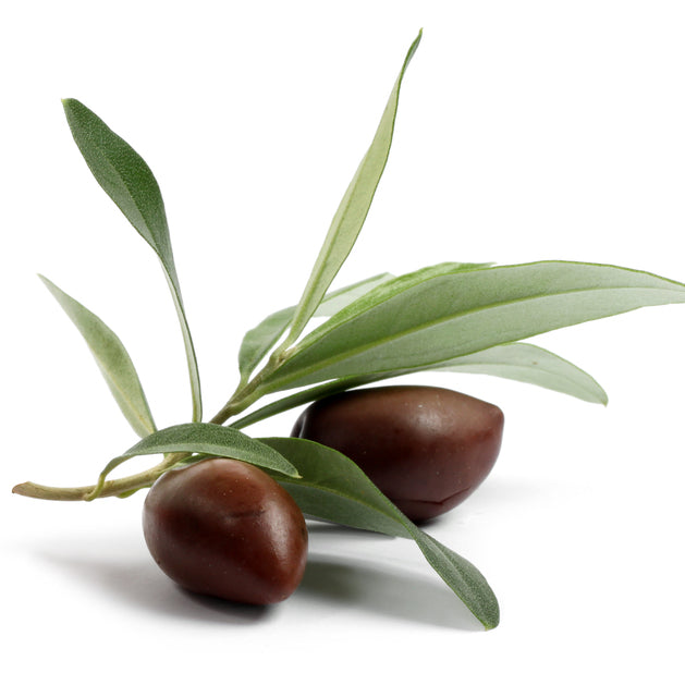 Plant Care: How to Care for Your Tropical Garden - Wellspring Gardens ...